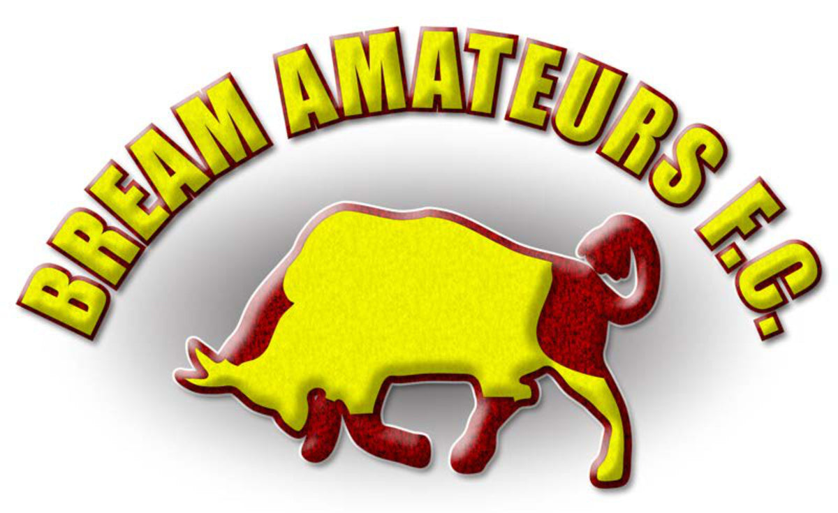 BREAM AMATEURS FC – tayz.co.uk